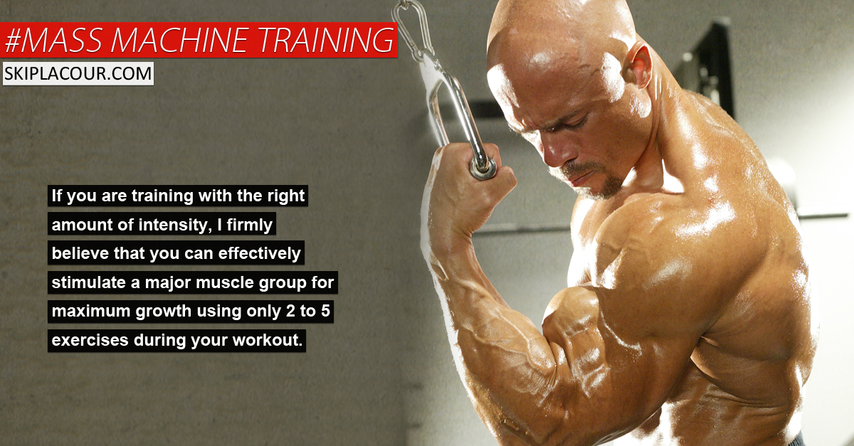 What s The Right Number Of Exercises For Each Body Part SkipLaCour
